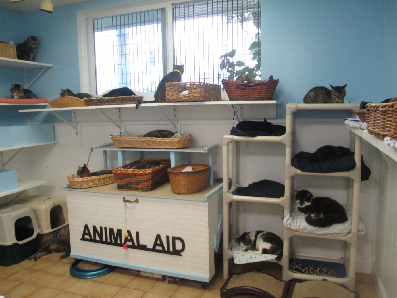 Animal Aid Inc A Non profit South Florida Pet Adoption Shelter Animal Aid Inc A Non profit South Florida Pet Adoption Shelter